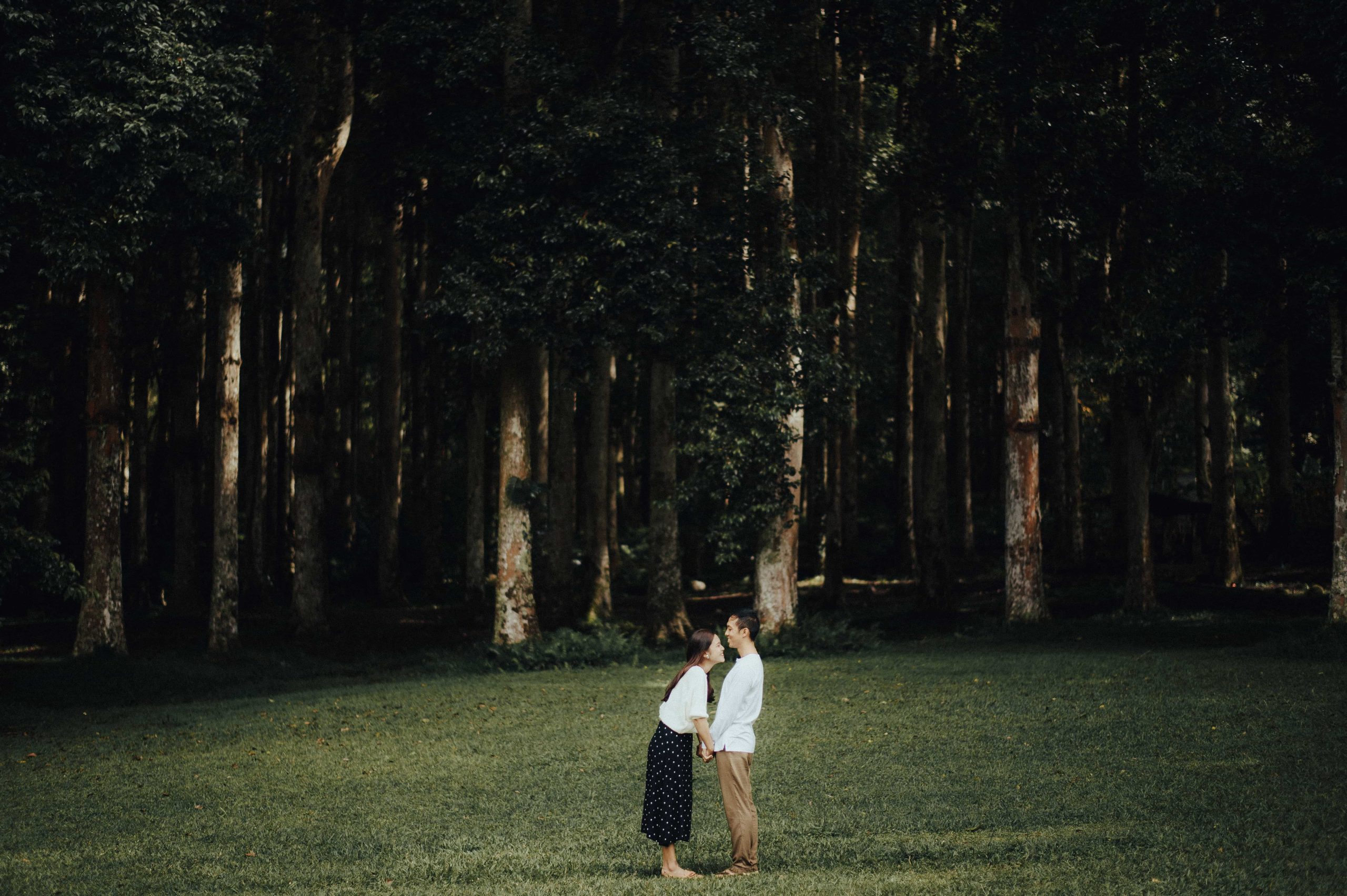 The Wedding of Vian & Shella